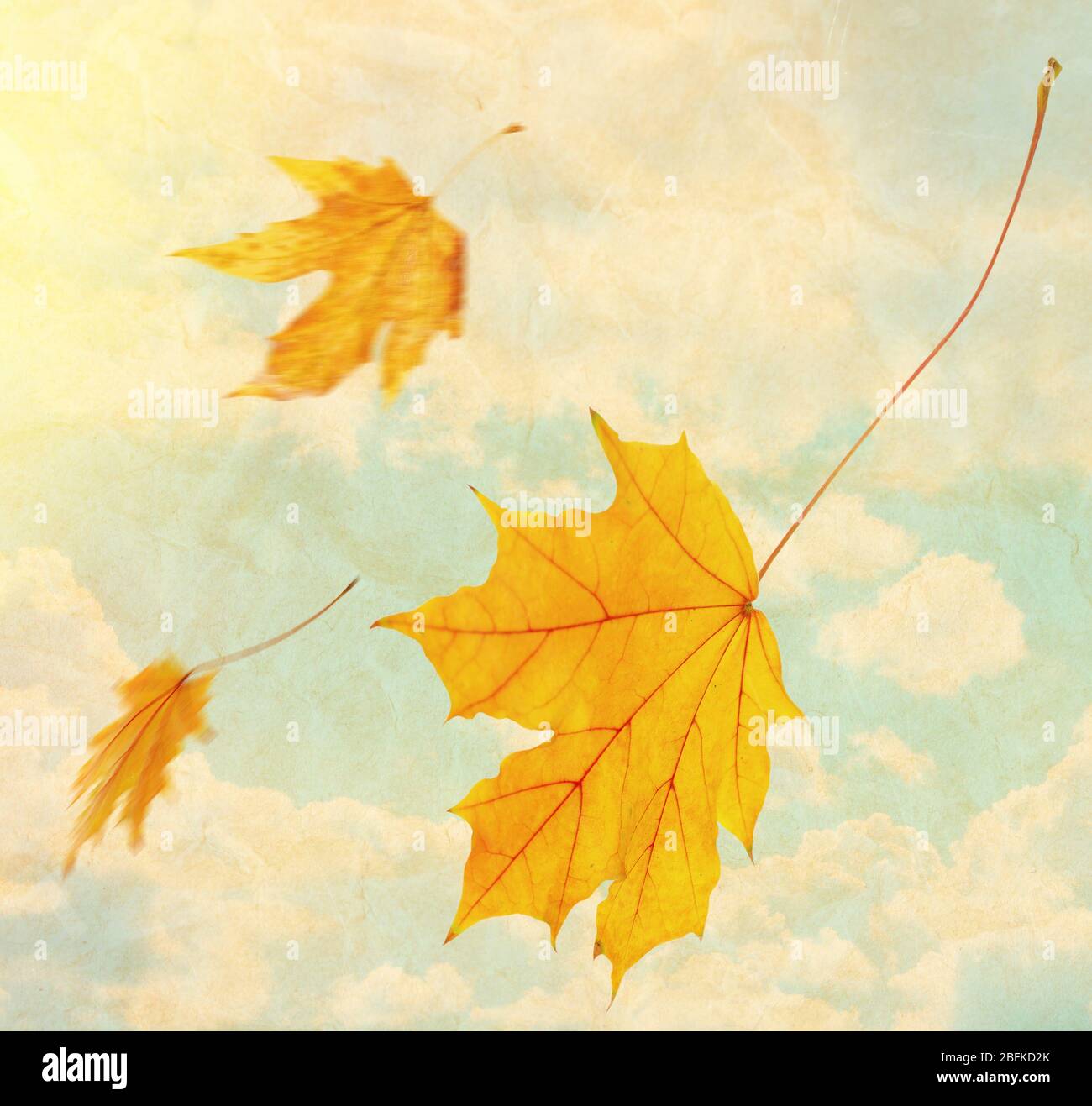 Beautiful autumn leaves flying on a wind Stock Photo - Alamy