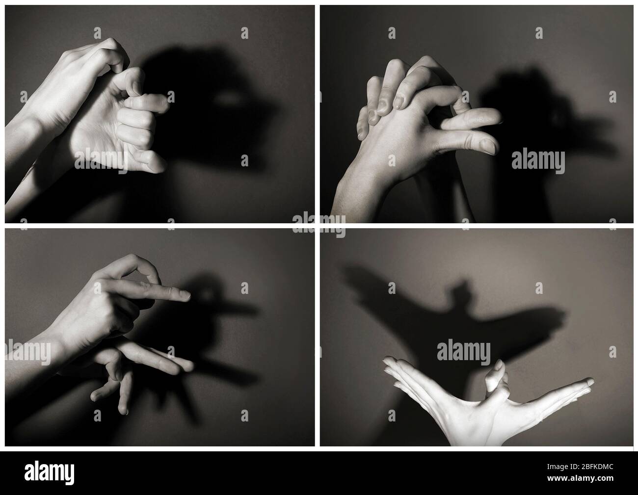 Hands gesture like different animals and figures on gray background ...