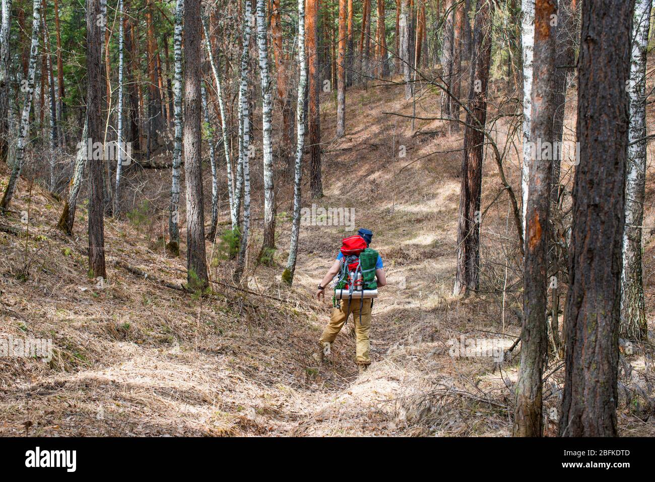 Choosing Path To Explore, High Resolution Stock Photography and Images ...