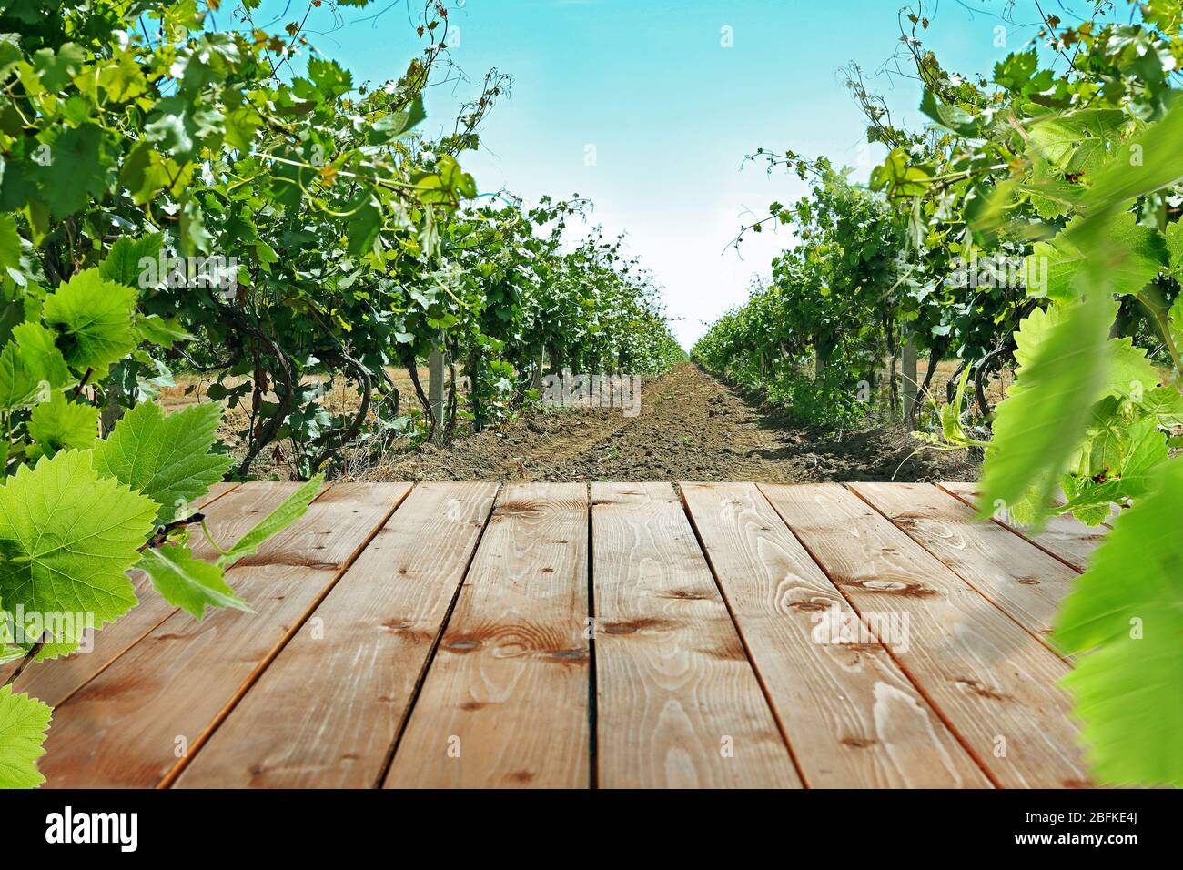 Wooden table with vineyard Stock Photo - Alamy