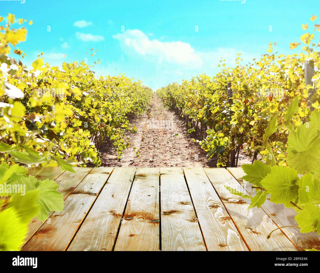 Wooden table with vineyard Stock Photo - Alamy