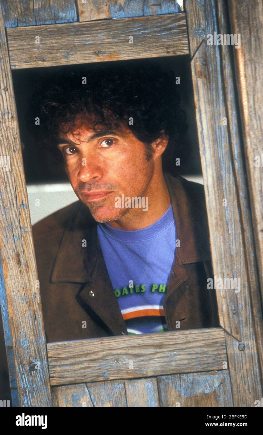 John Oates Rock & roll artist Stock Photo - Alamy