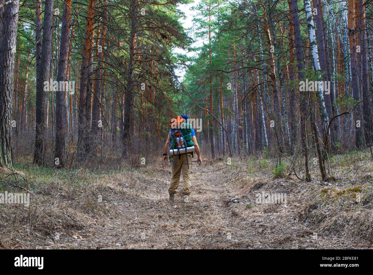 Back view of a human walking throw the forest with a big backpack Stock ...