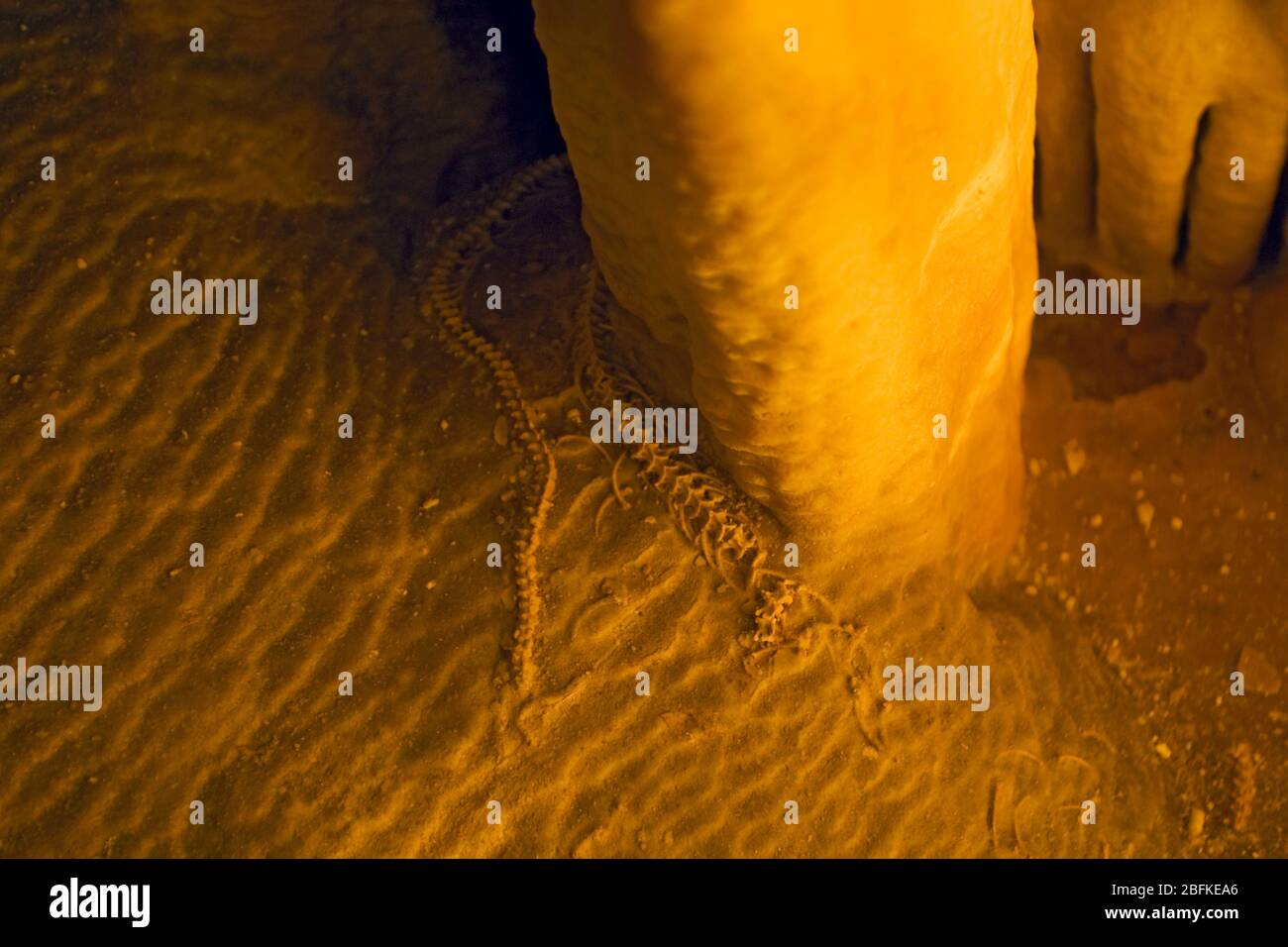 Avshalom caves hi-res stock photography and images - Alamy