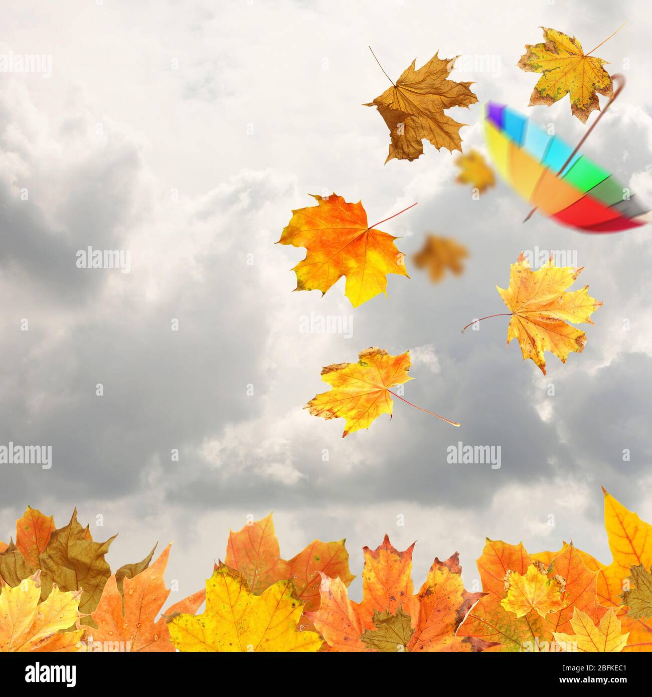 Umbrella and autumn leaves flying in rainy sky Stock Photo - Alamy