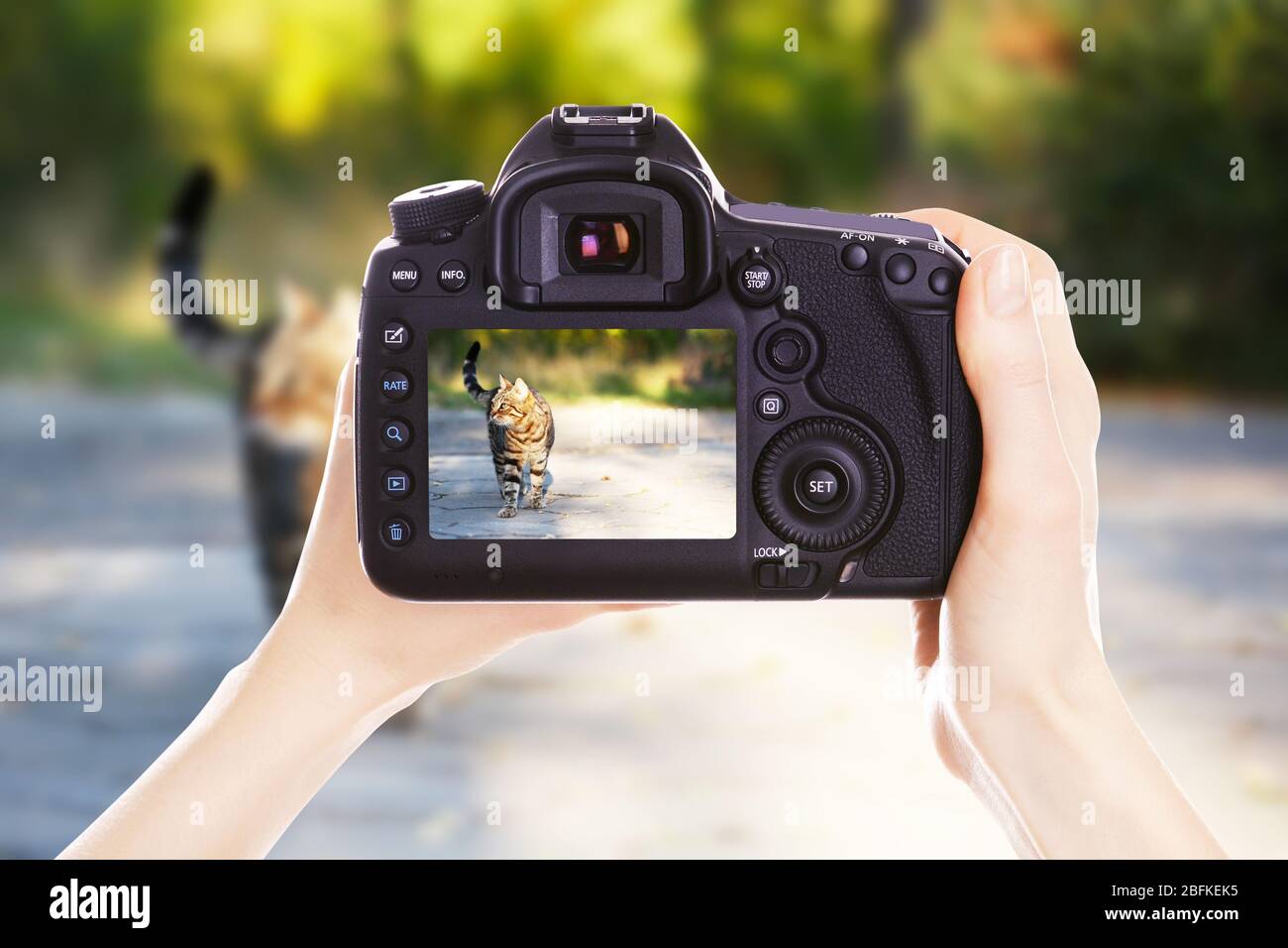 Camera work stone hi-res stock photography and images - Alamy
