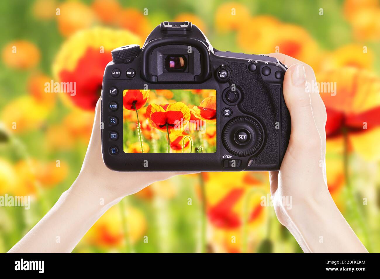 Fineart photographer hi-res stock photography and images - Alamy