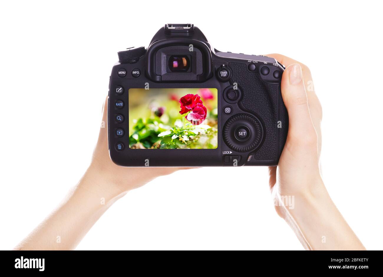 Photographer with camera at work Stock Photo - Alamy