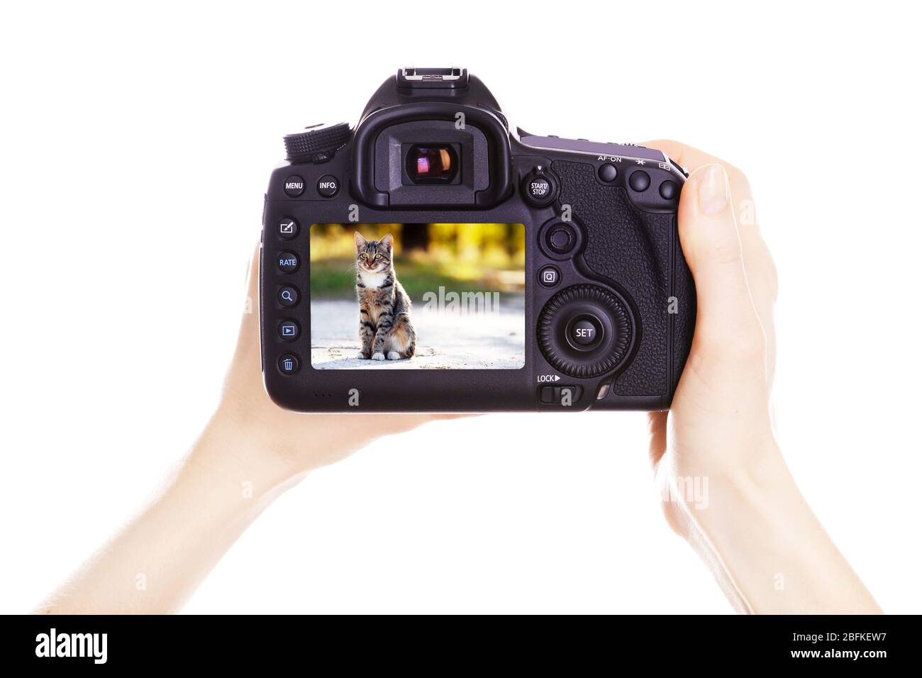Photographer with camera at work, isolated on white Stock Photo - Alamy