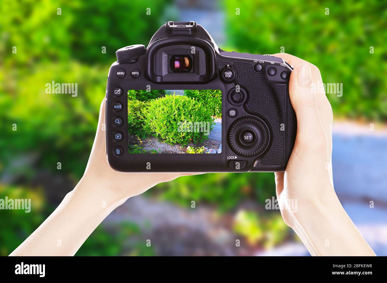 Photographer with camera at work Stock Photo - Alamy
