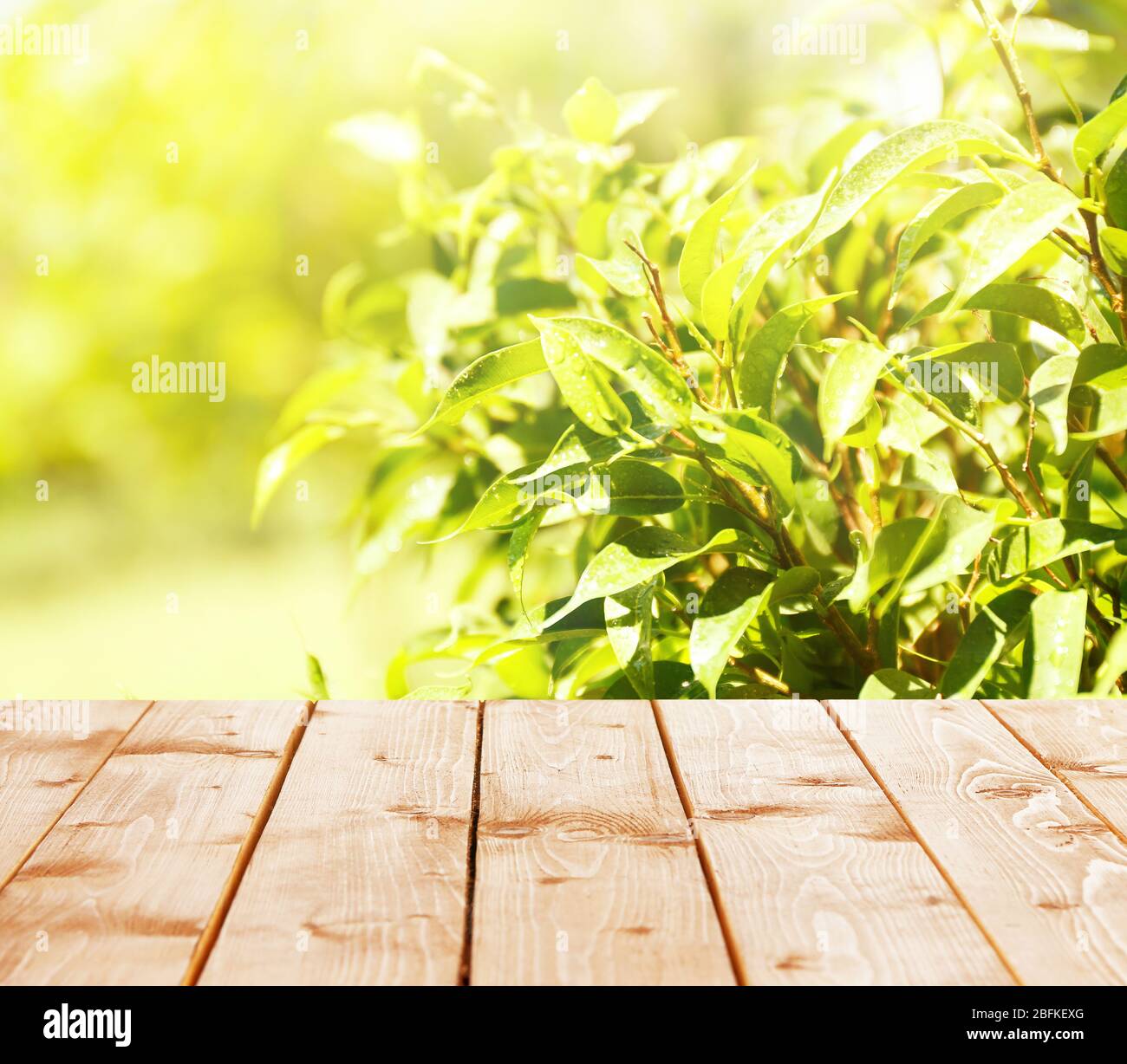 Wooden table with nature background Stock Photo - Alamy