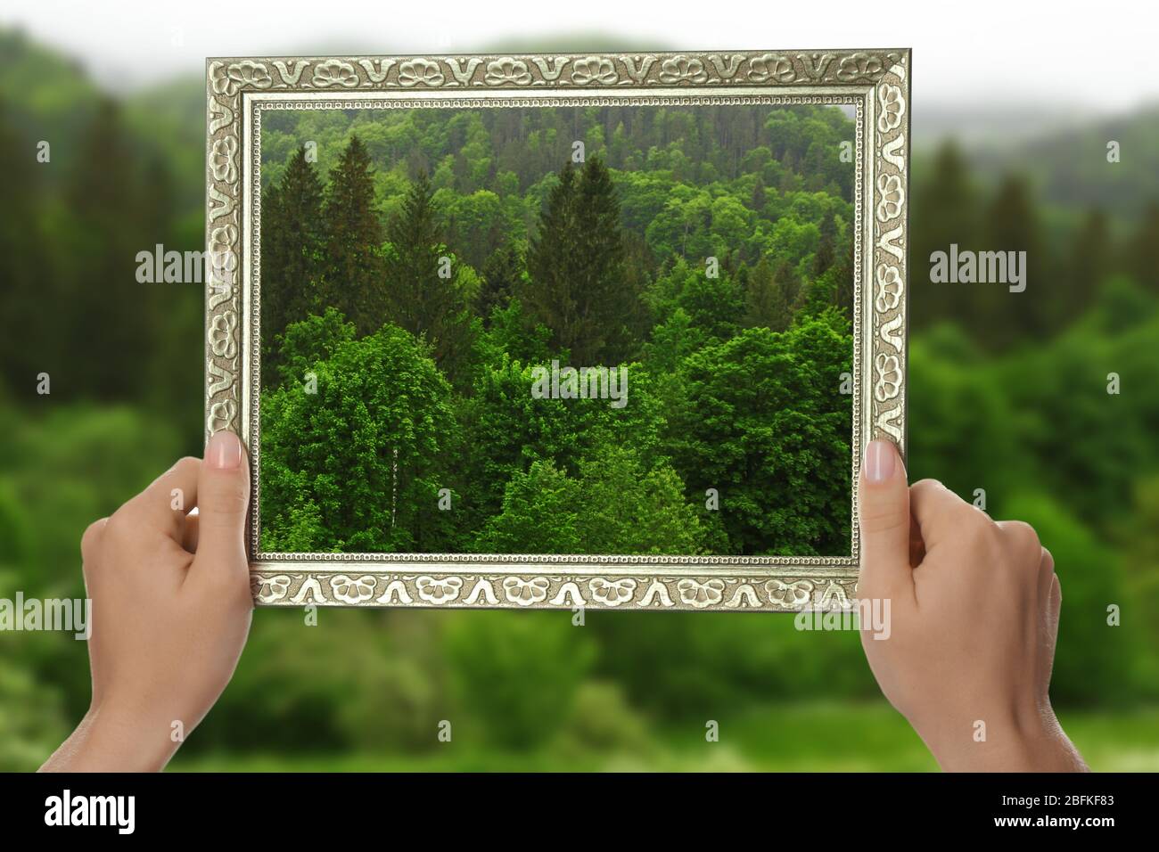 Woman hands holding empty frame on nature background Stock Photo - Alamy