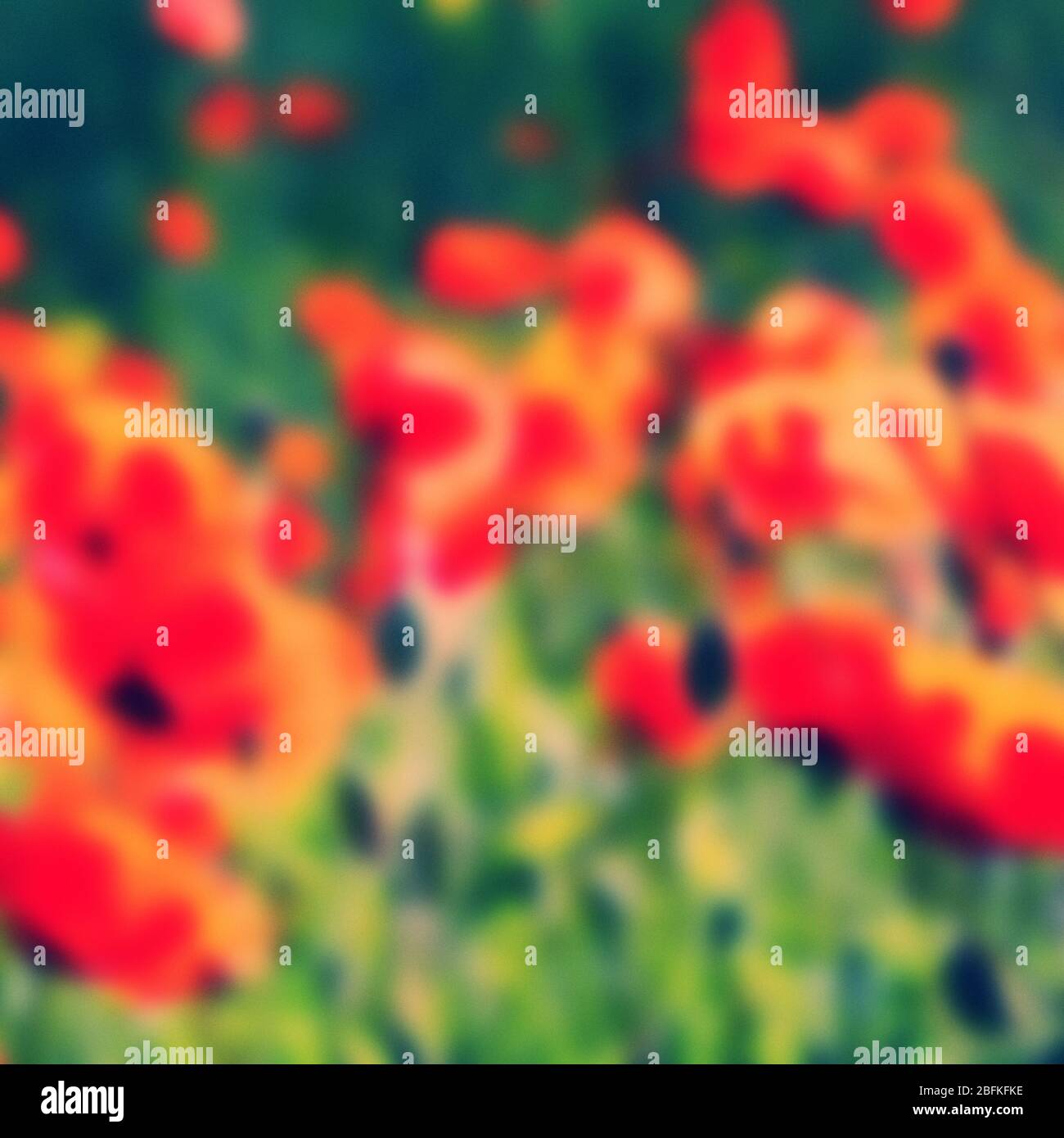 Abstract nature background Stock Photo - Alamy