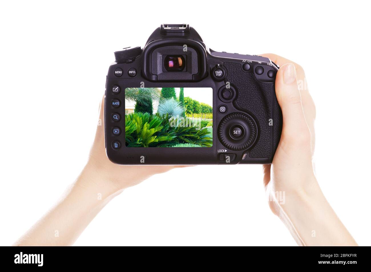 Photographer with camera at work, isolated on white Stock Photo - Alamy