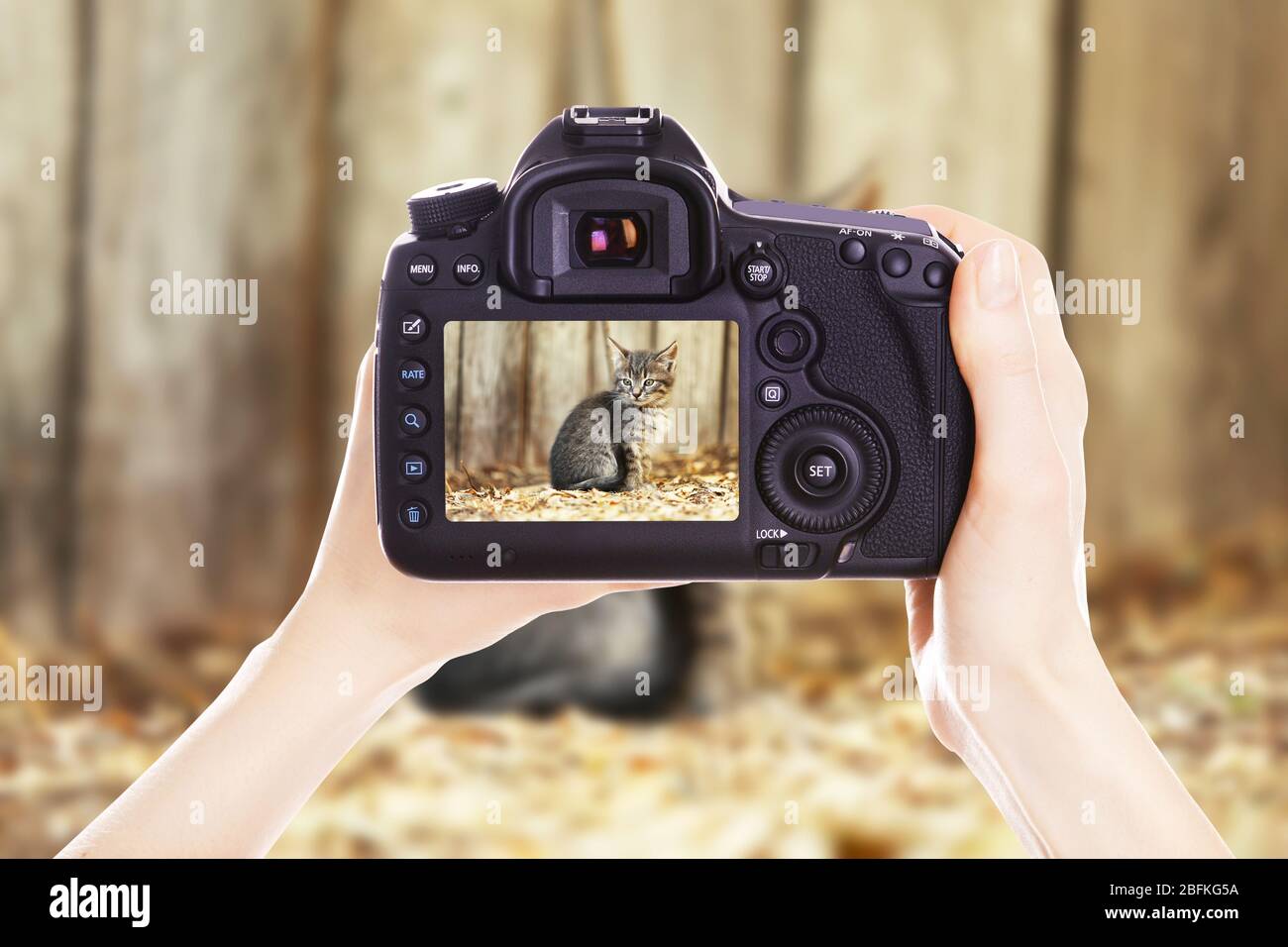Camera work stone hi-res stock photography and images - Alamy