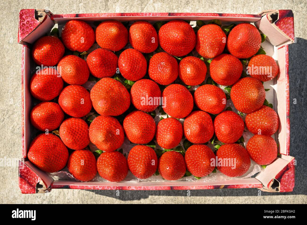 Tray fresh strawberries hi-res stock photography and images - Alamy
