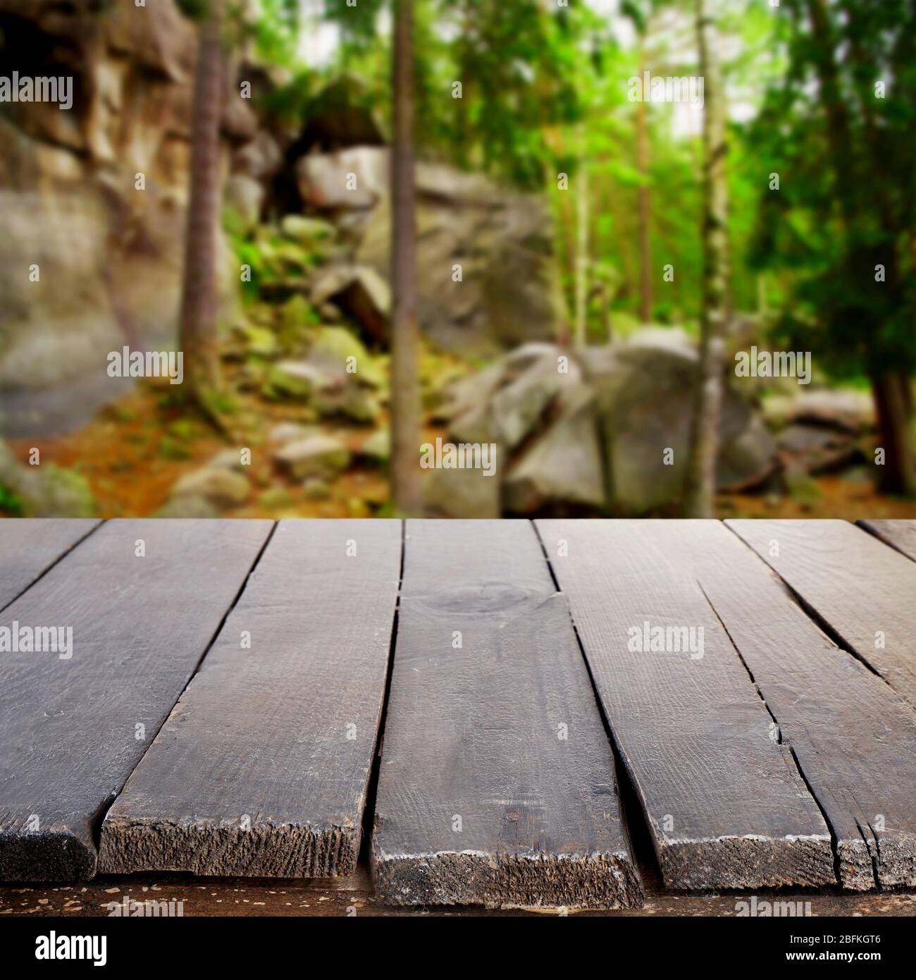 Wooden board on forest background Stock Photo - Alamy