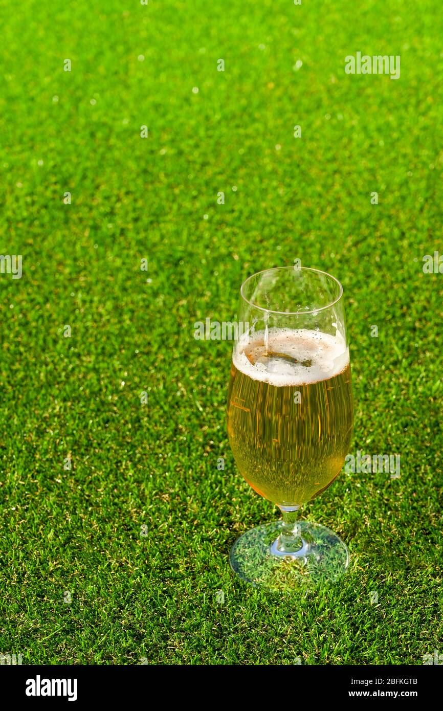 Glass of golden beer lager standing on a lawn of short green grass ...
