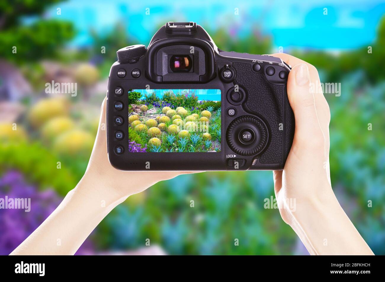 Photographer with camera at work Stock Photo - Alamy