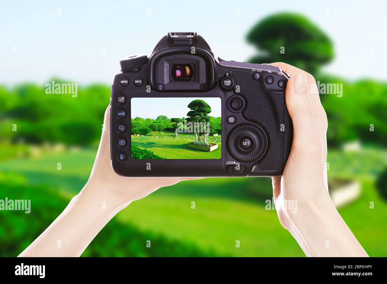 Photographer with camera at work Stock Photo - Alamy
