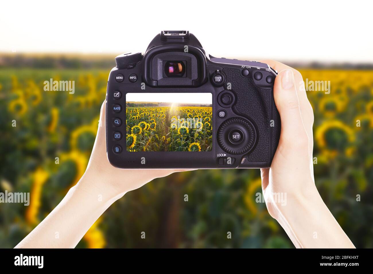 Photographer with camera at work Stock Photo - Alamy