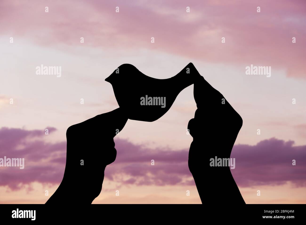 Silhouettes of hands with decorative birds Stock Photo - Alamy