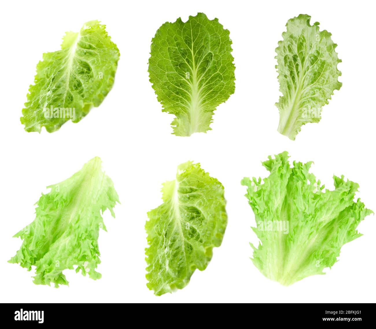 lettuce leaves, isolated on white Stock Photo - Alamy