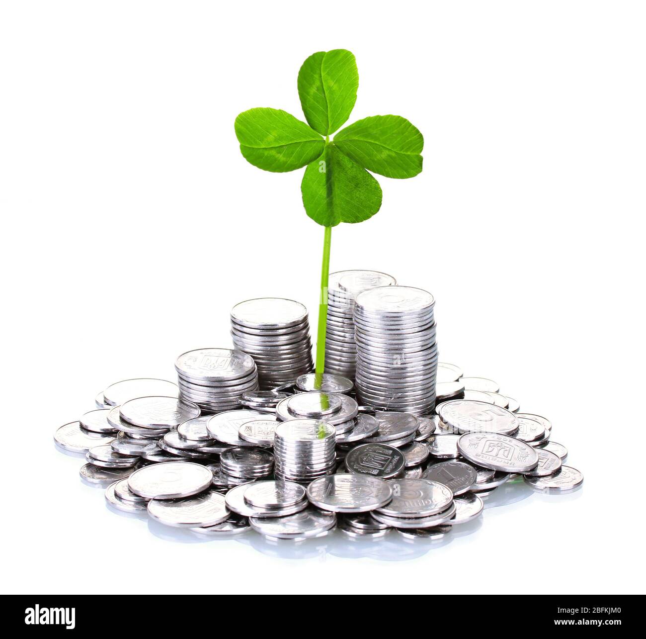 Clover leaf growing out of silver coins isolated on white Stock Photo ...
