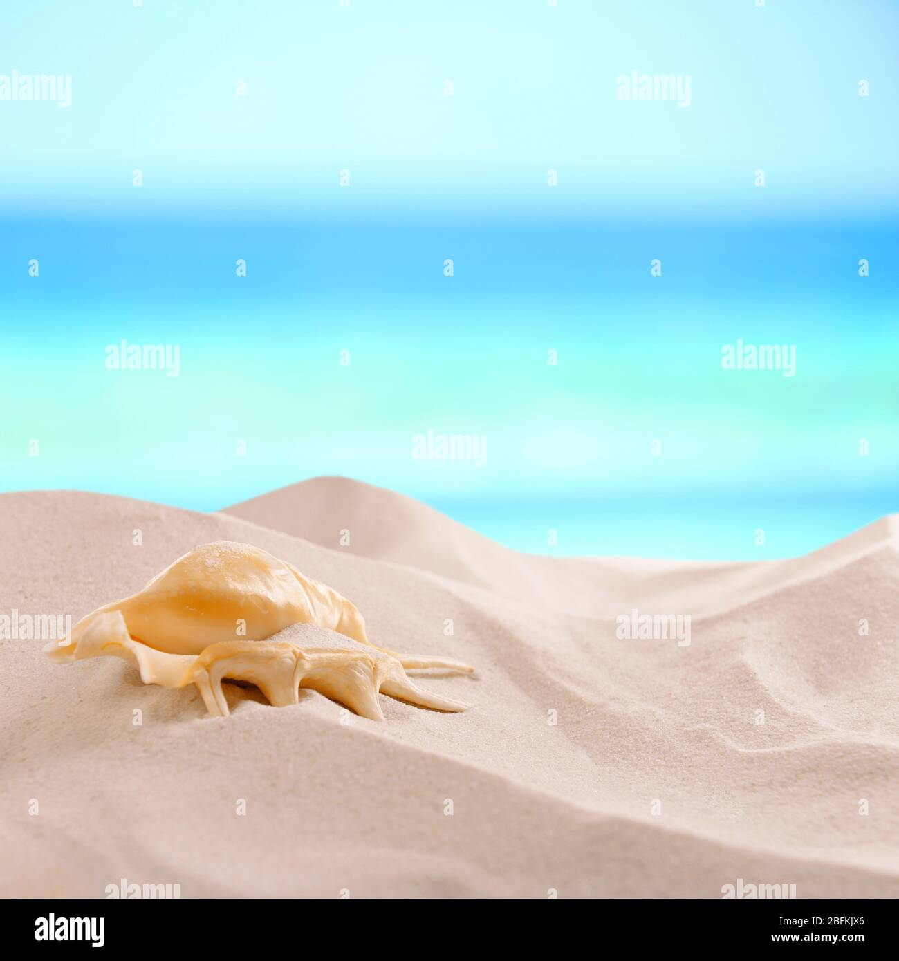 Seashell and sand on sea background Stock Photo - Alamy