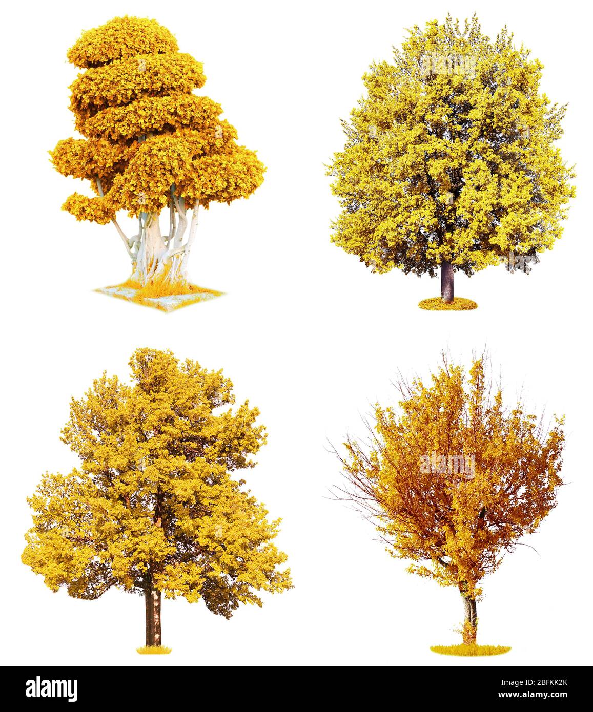 Vibrant autumn trees bright Cut Out Stock Images & Pictures - Alamy
