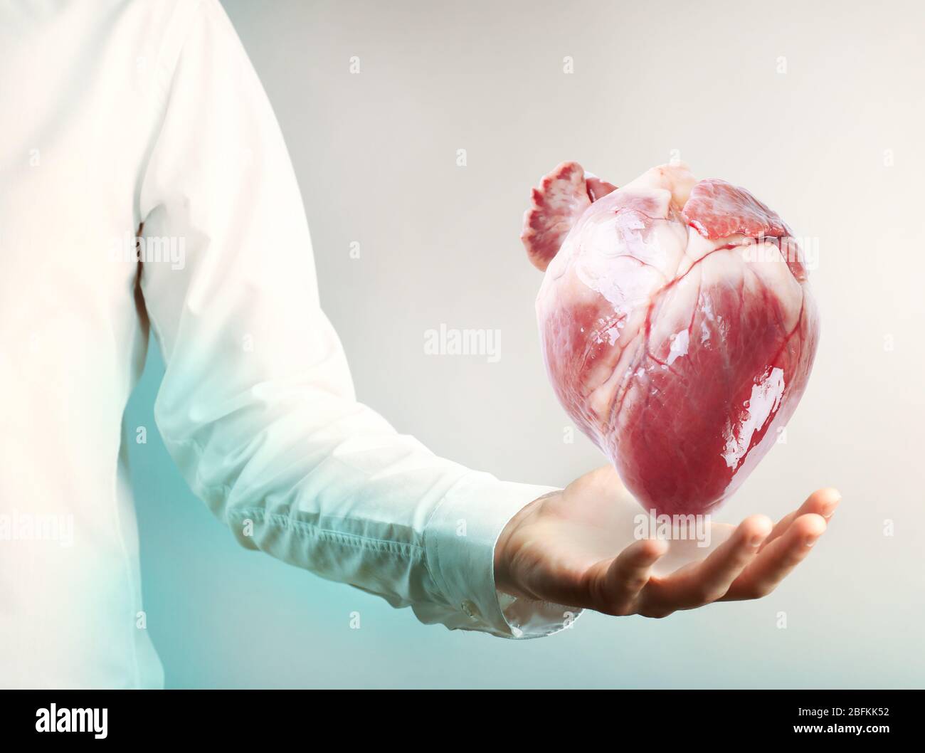 Medical concept. Female doctor with real heart in hands Stock Photo - Alamy