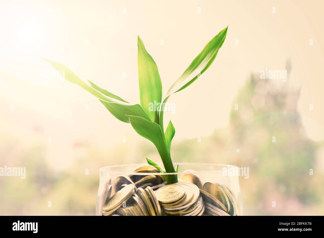 Plant growing in coins outside Stock Photo - Alamy