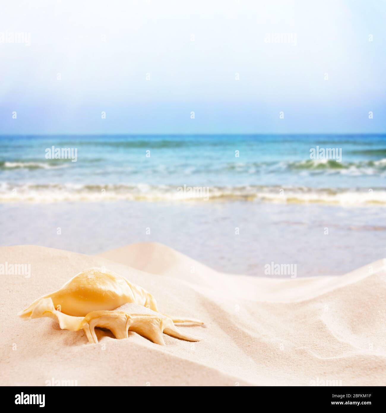 Seashell and sand on sea background Stock Photo - Alamy