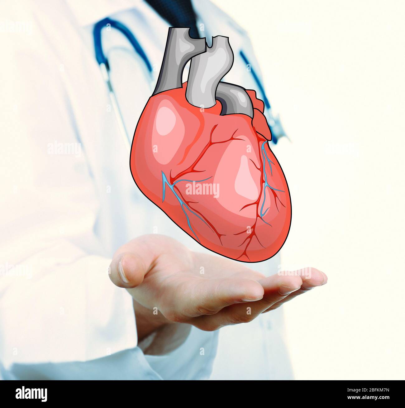 Medical concept. Male doctor with real heart in hands Stock Photo - Alamy