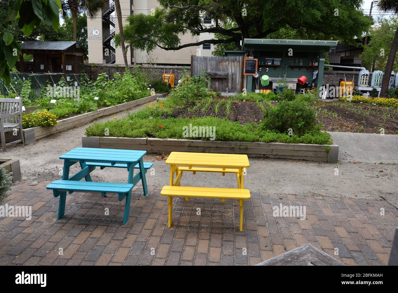 Urban Garden with soil plots well cared for by group of volunteers and ...