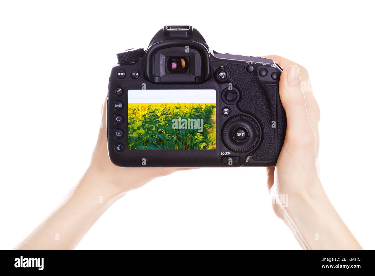 Nature photographer professional Cut Out Stock Images & Pictures - Alamy