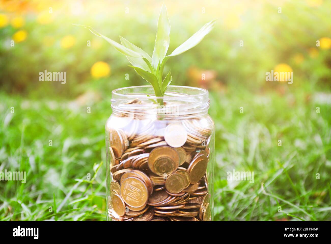 Plant growing in coins outside Stock Photo - Alamy