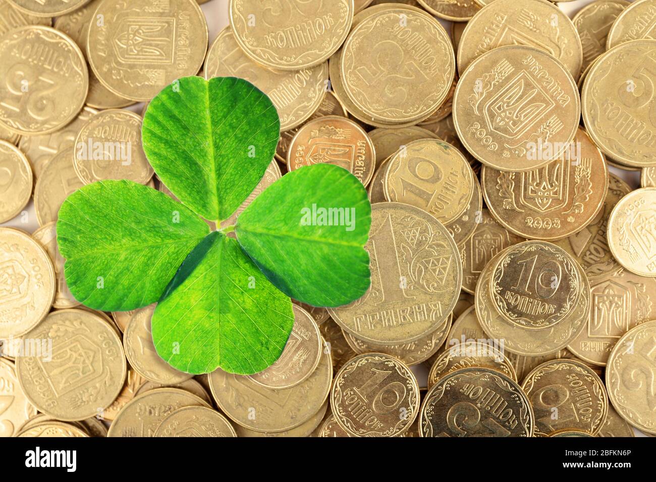 Clover leaf and euro coins, close-up Stock Photo - Alamy