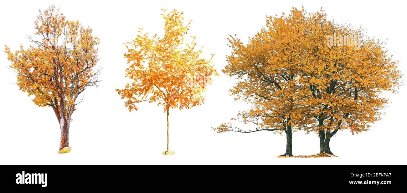 Beautiful autumnal view Cut Out Stock Images & Pictures - Alamy