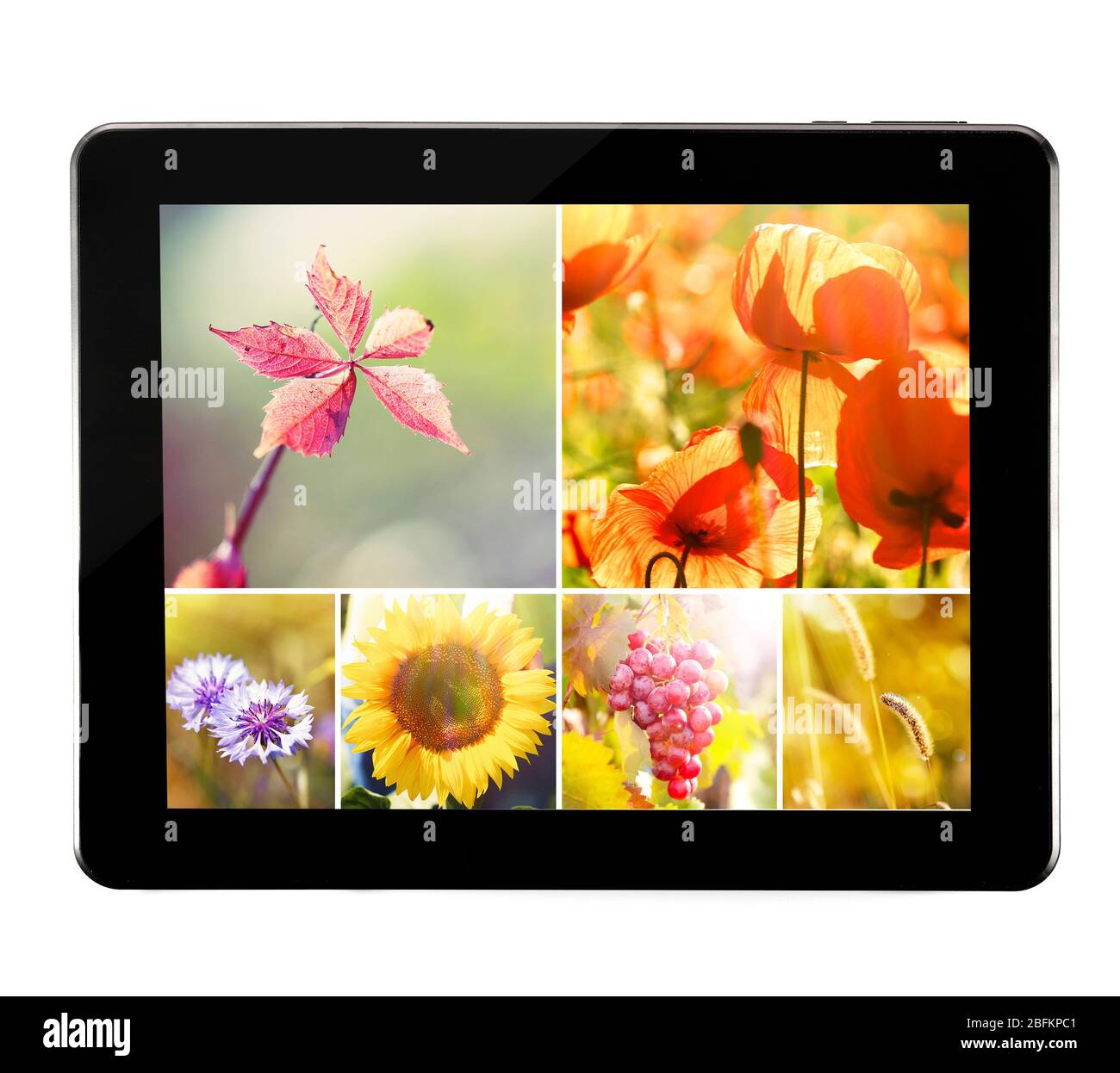 Tablet PC with images of nature objects, isolated on white Stock Photo ...