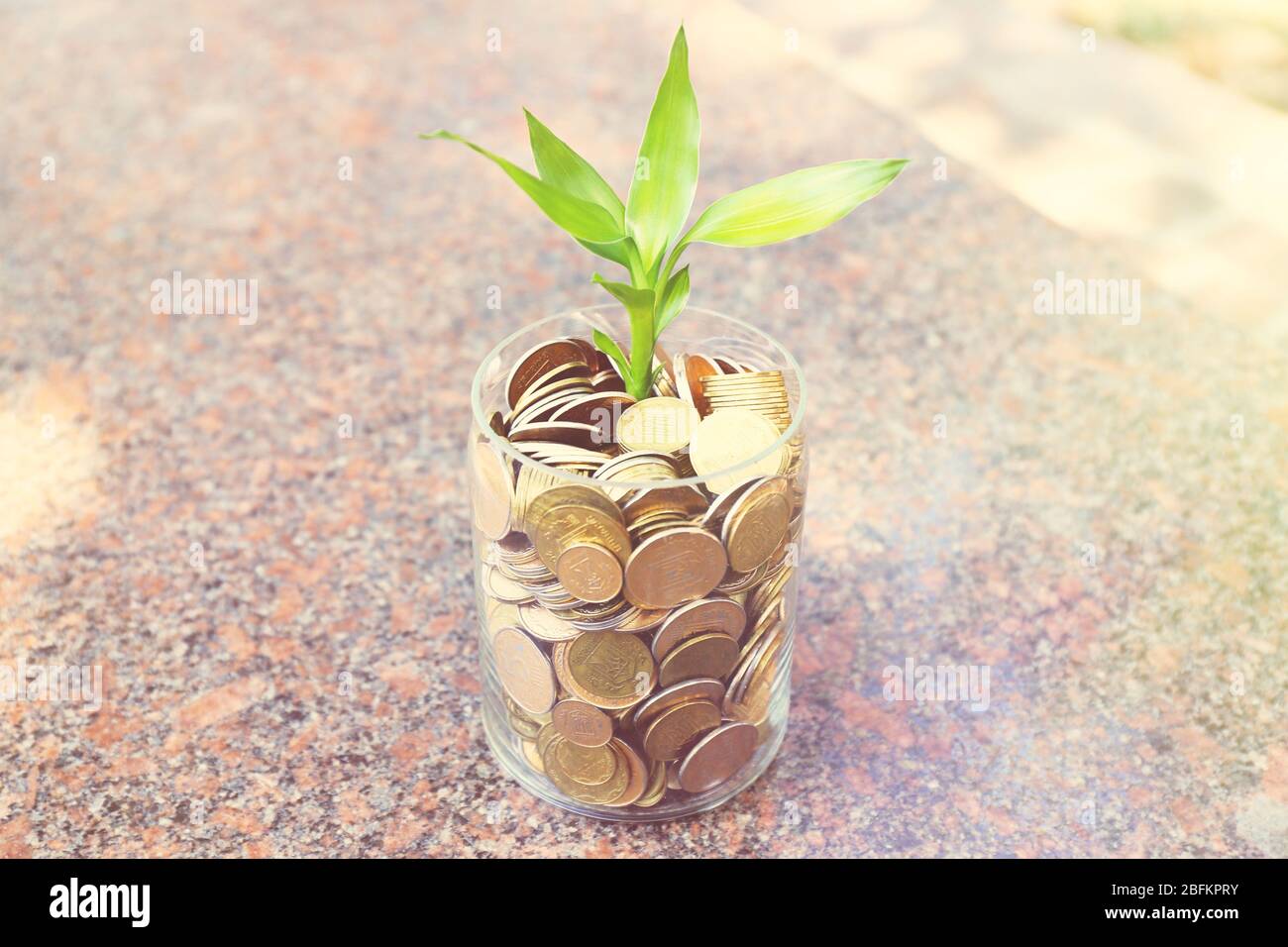 Plant growing in coins outside Stock Photo - Alamy