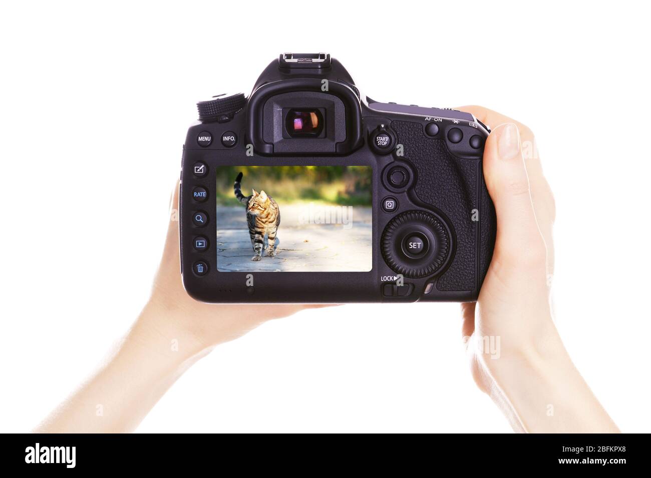 Photographer with camera at work, isolated on white Stock Photo - Alamy