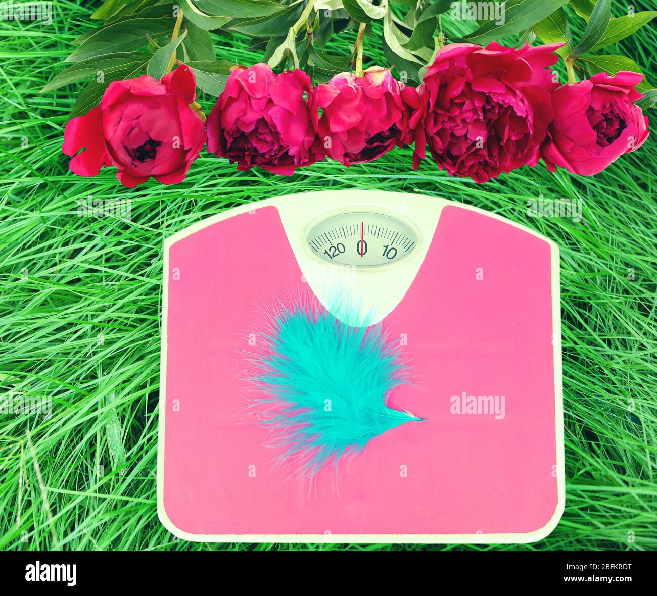 Feather on scales on green grass. Losing weight for the summer Stock ...