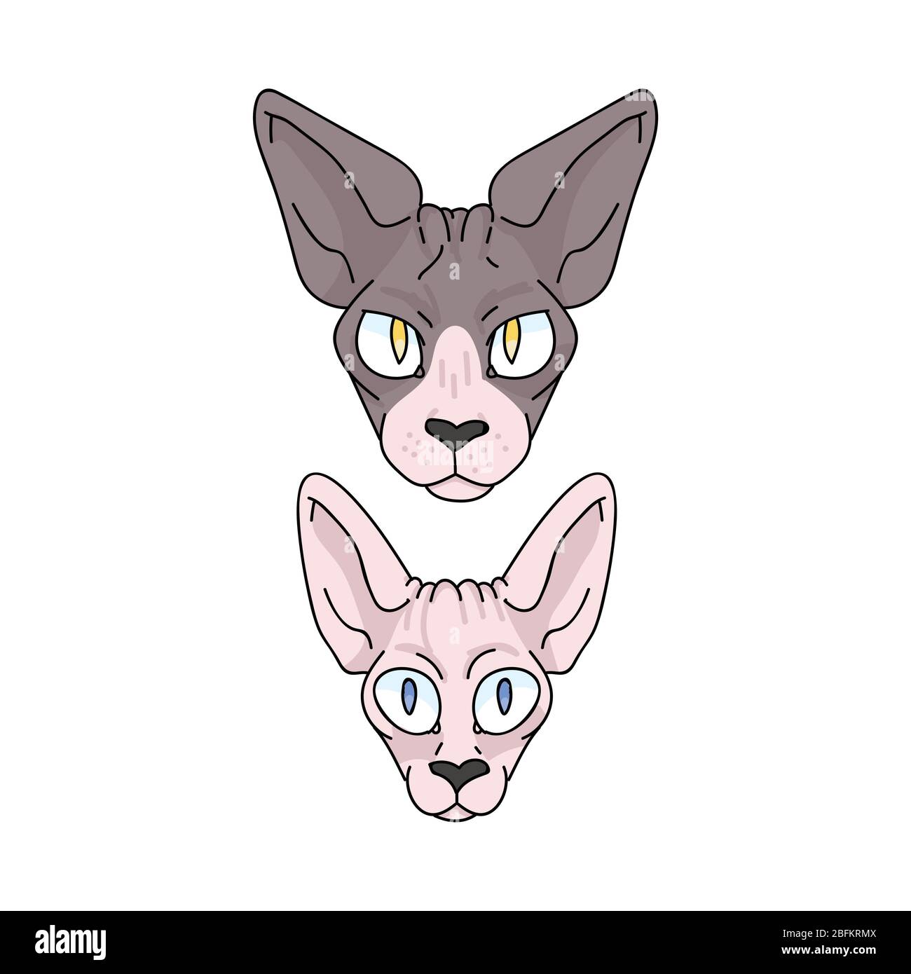 Cute cartoon sphynx cat and kitten face vector clipart. Pedigree exotic ...