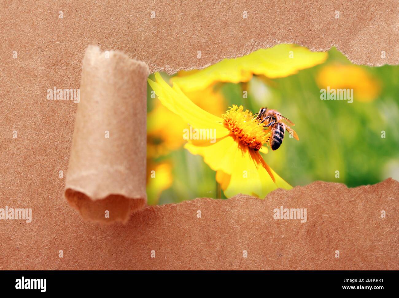 Paper frame with beautiful nature background Stock Photo - Alamy