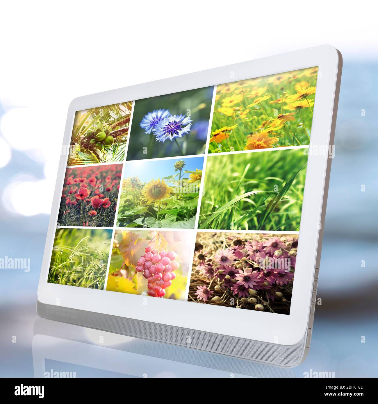 Tablet PC with images of natural objects, on light nature background ...