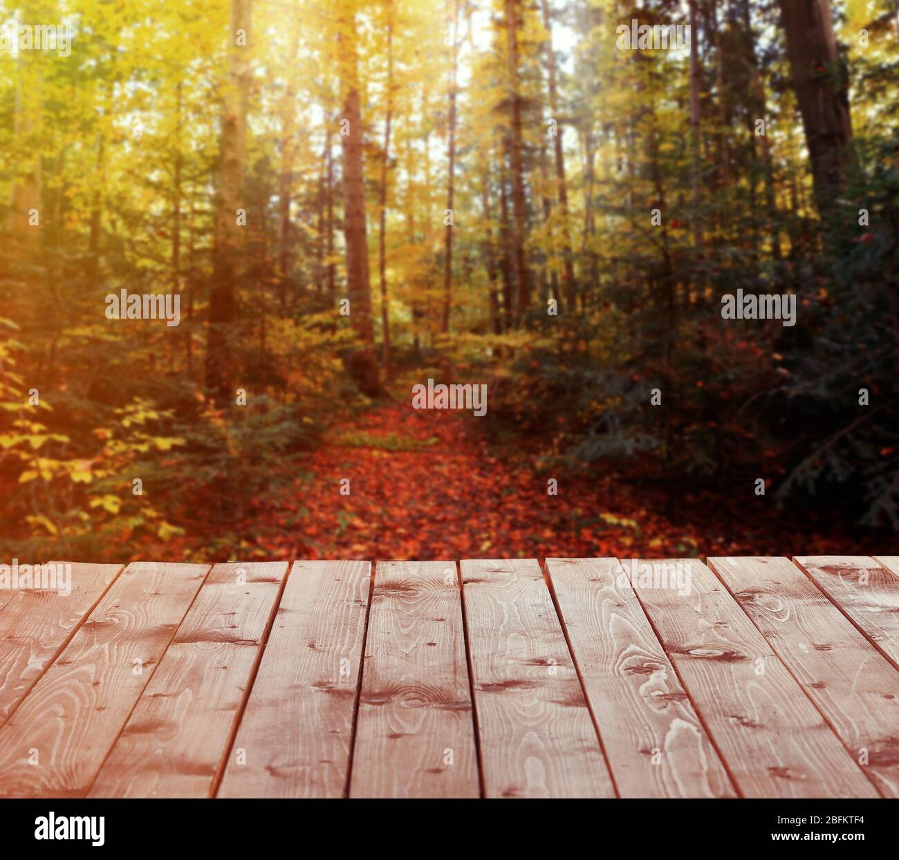 Beautiful nature background with wooden floor Stock Photo - Alamy