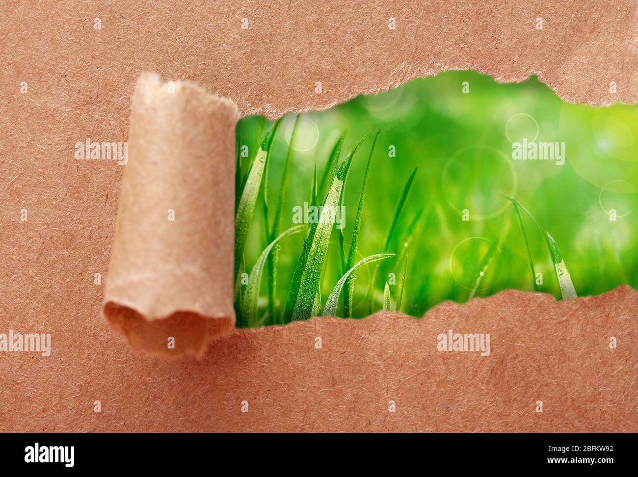 Paper frame with beautiful nature background Stock Photo - Alamy