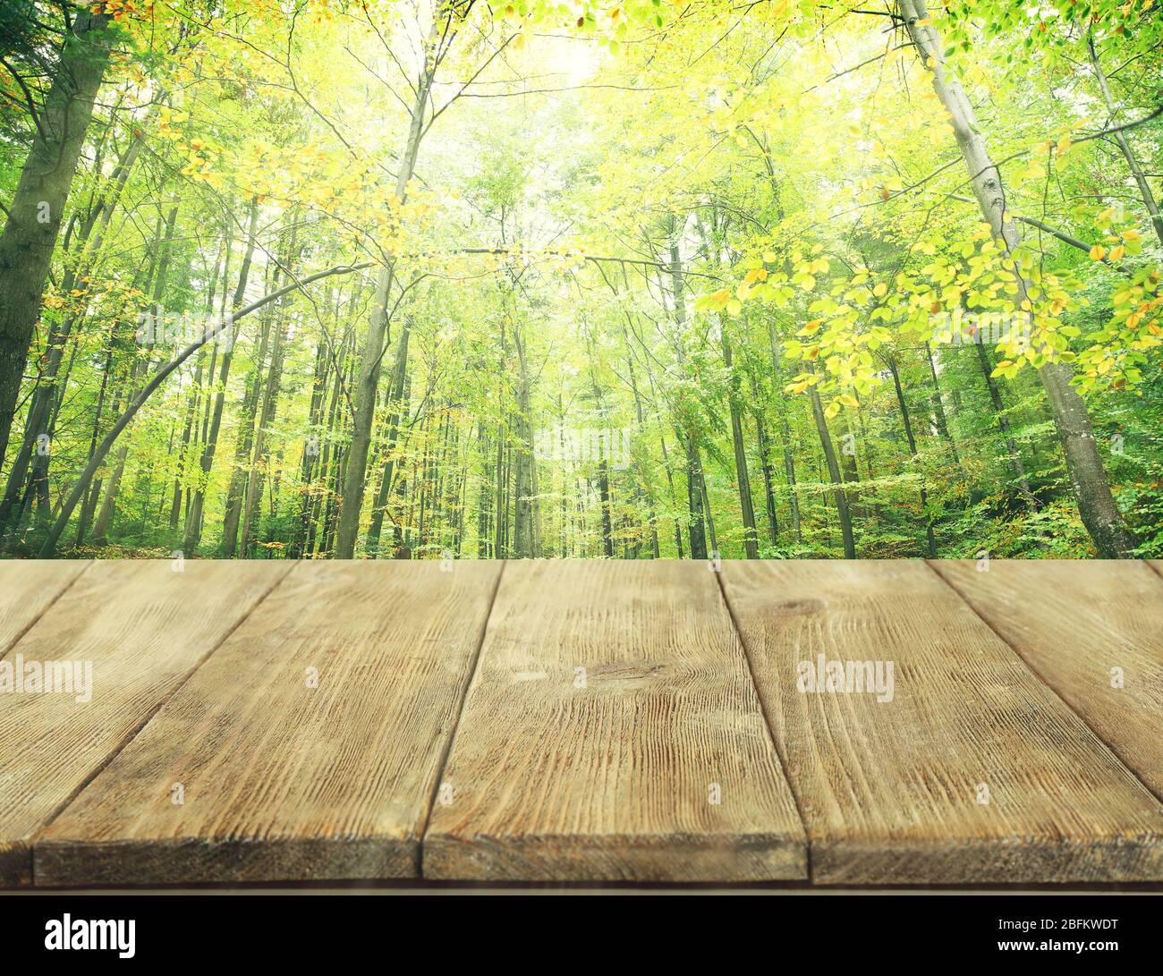 Beautiful nature background with wooden floor Stock Photo - Alamy