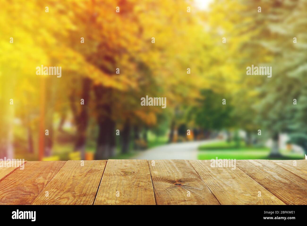 Beautiful nature background with wooden floor Stock Photo - Alamy